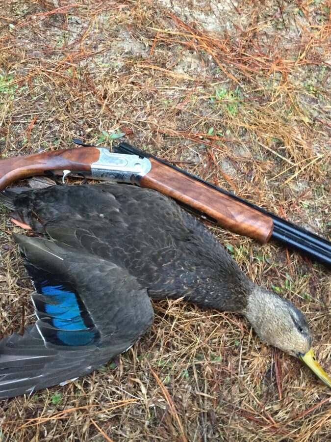 WMA Hunting Opportunities - Wildlife Foundation of Virginia